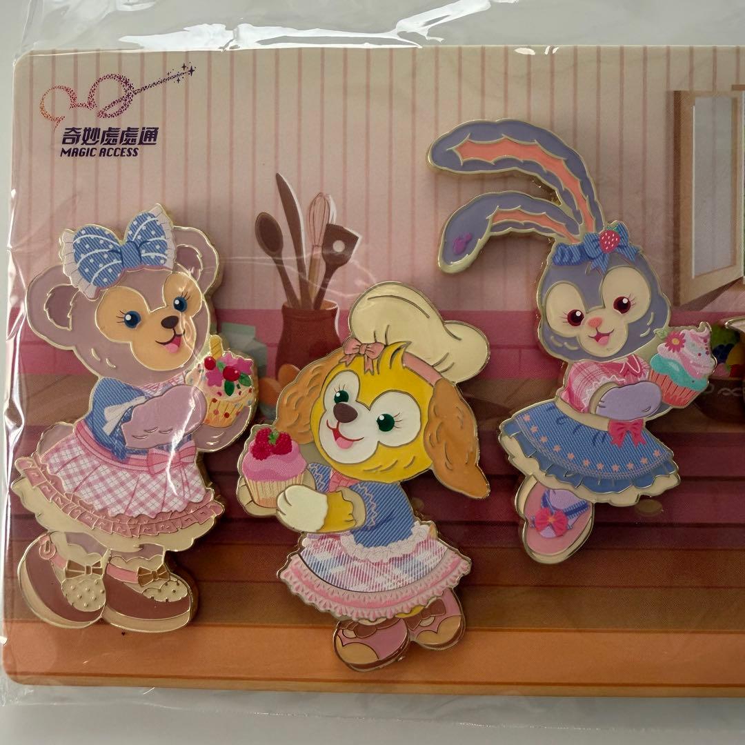 非売品 HKDL 香港ディズニーランド ダッフィー&フレンズ 年パス ピンバッジ