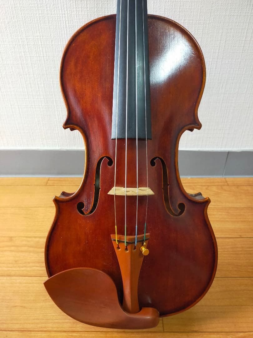 ヴァイオリン（a comtemporary violin）