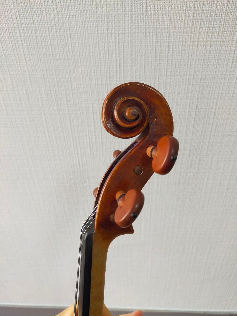 ヴァイオリン（a comtemporary violin）