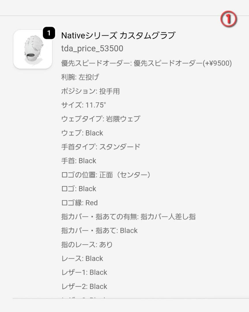 【刀】Nativeシリーズ　カスタムグラブ　左投げ投手用