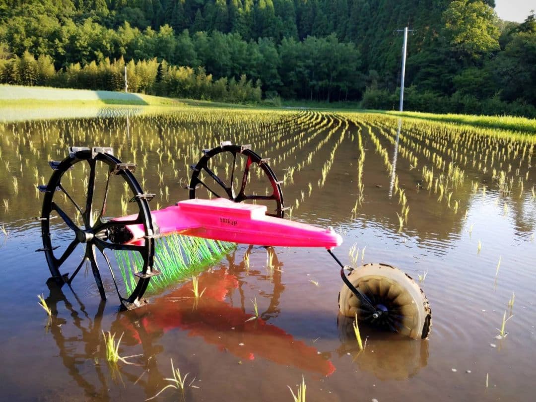 ★自然栽培米　玄米10kg　令和7年度　熊本県産　森のくまさん★