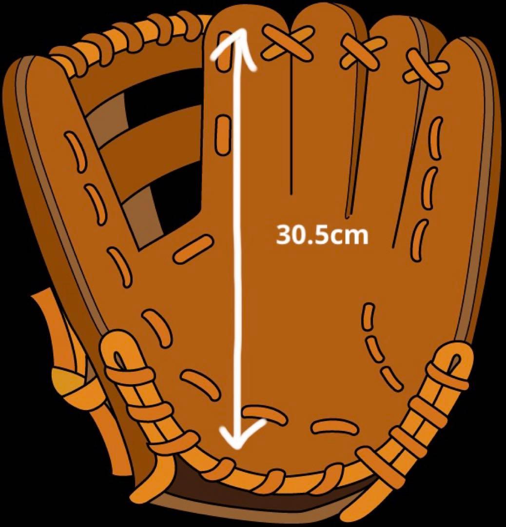 ミズノ　ビューリーグ　ソフトボールグローブ 右投げ用　青ビュー　Mマーク