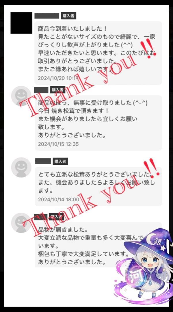 【大人気‼︎ 厳選 極上セット①】 400g本日採れ‼︎ 極上 松茸◆クール便発送◆