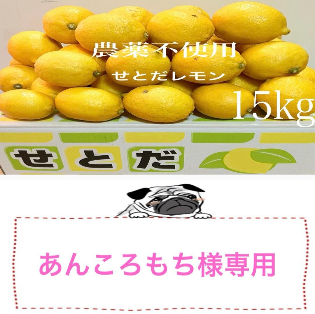 ○国産瀬戸田レモン15kg前後　あんころもち様