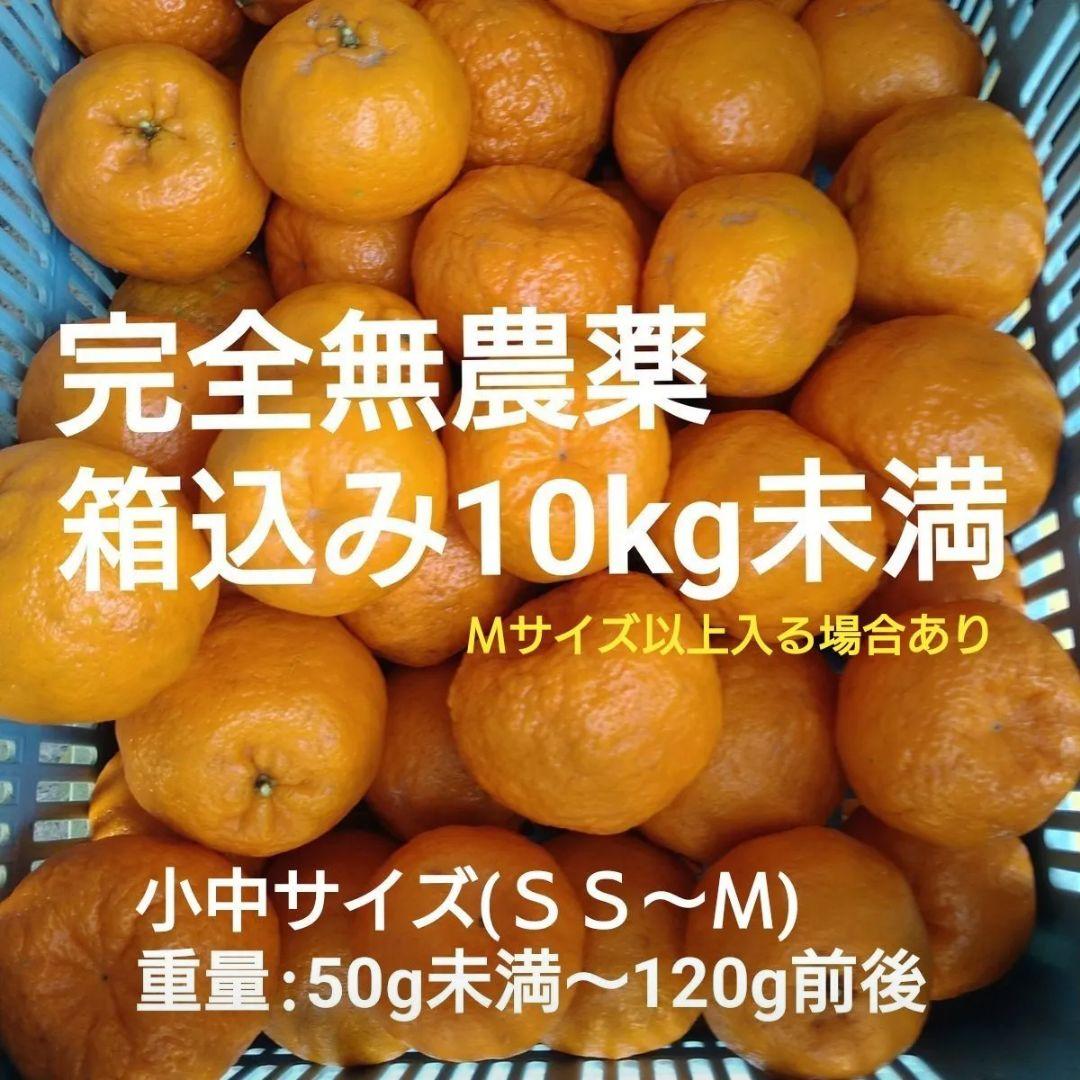 残りわずか　訳アリ　実のみ　完全無農薬　ポンカン　箱込み10kg未満　ゴロゴロ入