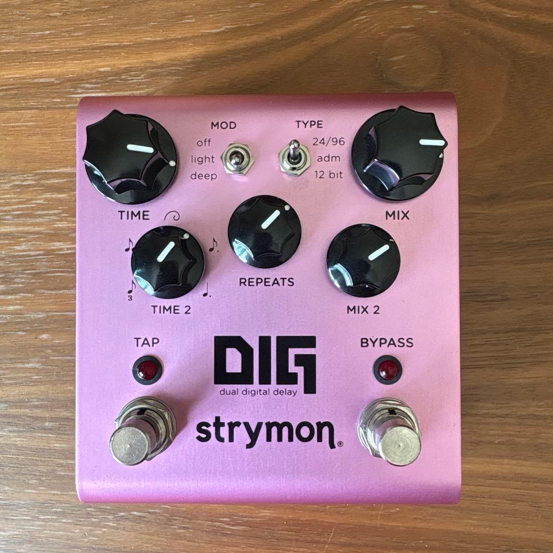【タイムセール中】Strymon DIG v1