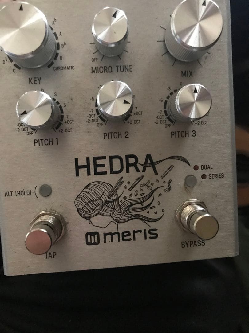 ギター Meris Hedra