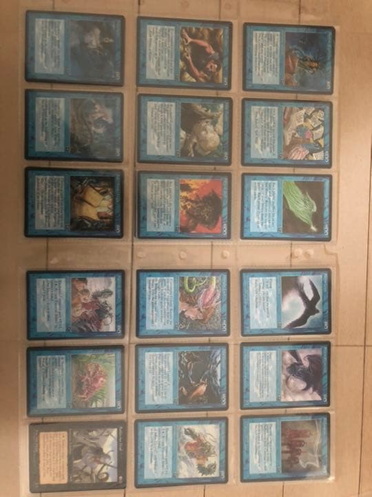 MTG アライアンス　絵違い込み　コンプリートセット　英　ALL