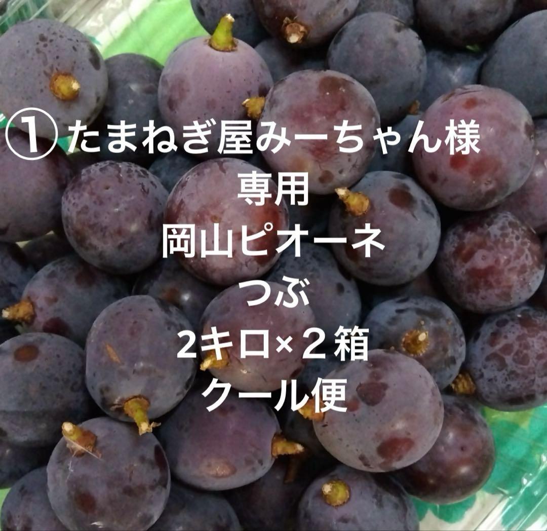 ①たまねぎ屋みーちゃん　岡山ピオーネ　切り落とし粒2キロ×２箱クール