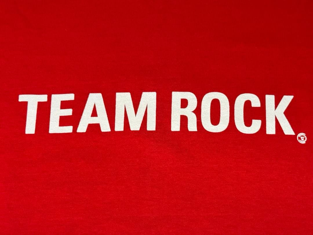 くるり TEAM ROCK Tシャツ Sサイズ USA製 ほぼ新品