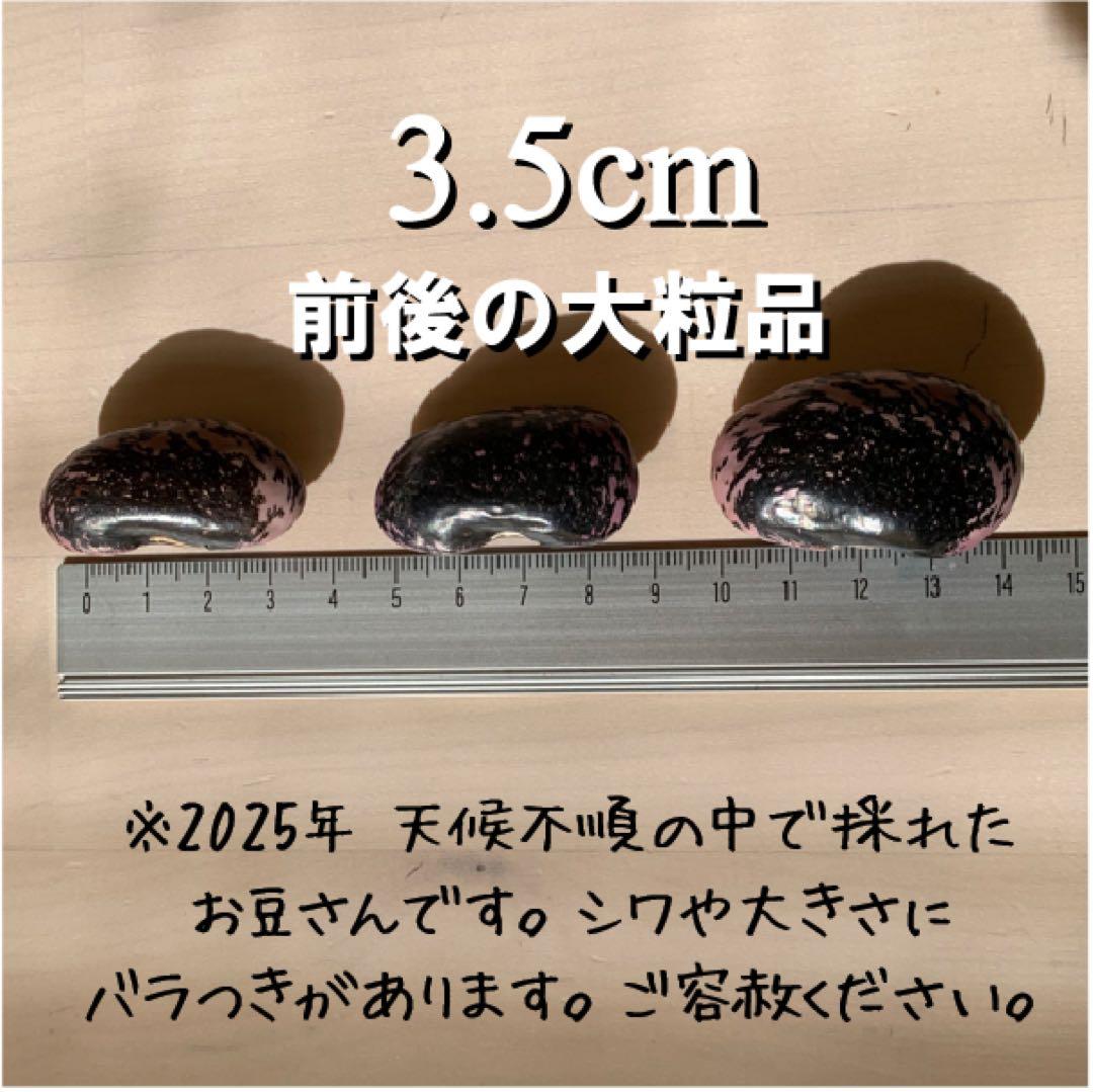 高原紫花豆 4kg 2025年産 長野県八ヶ岳麓産　自家製