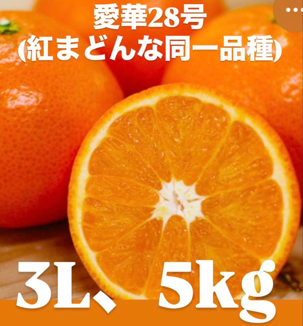 愛華28号（紅まどんな同一品種）3L、5kg×2
