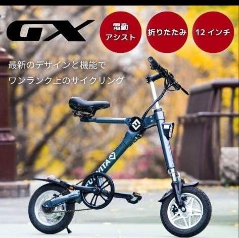 e-bike ファンビータ FANVITA GX-06 電動アシスト自転車