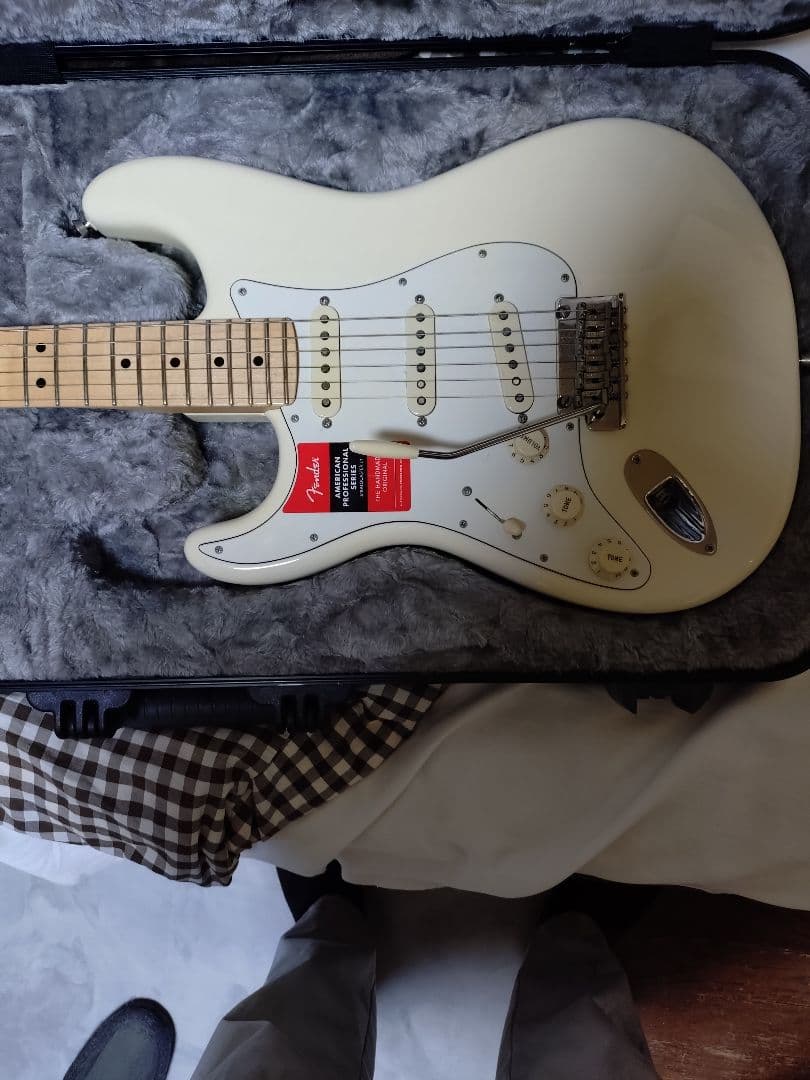 Fender AmericanProfessionalレフティ ハードケース付き