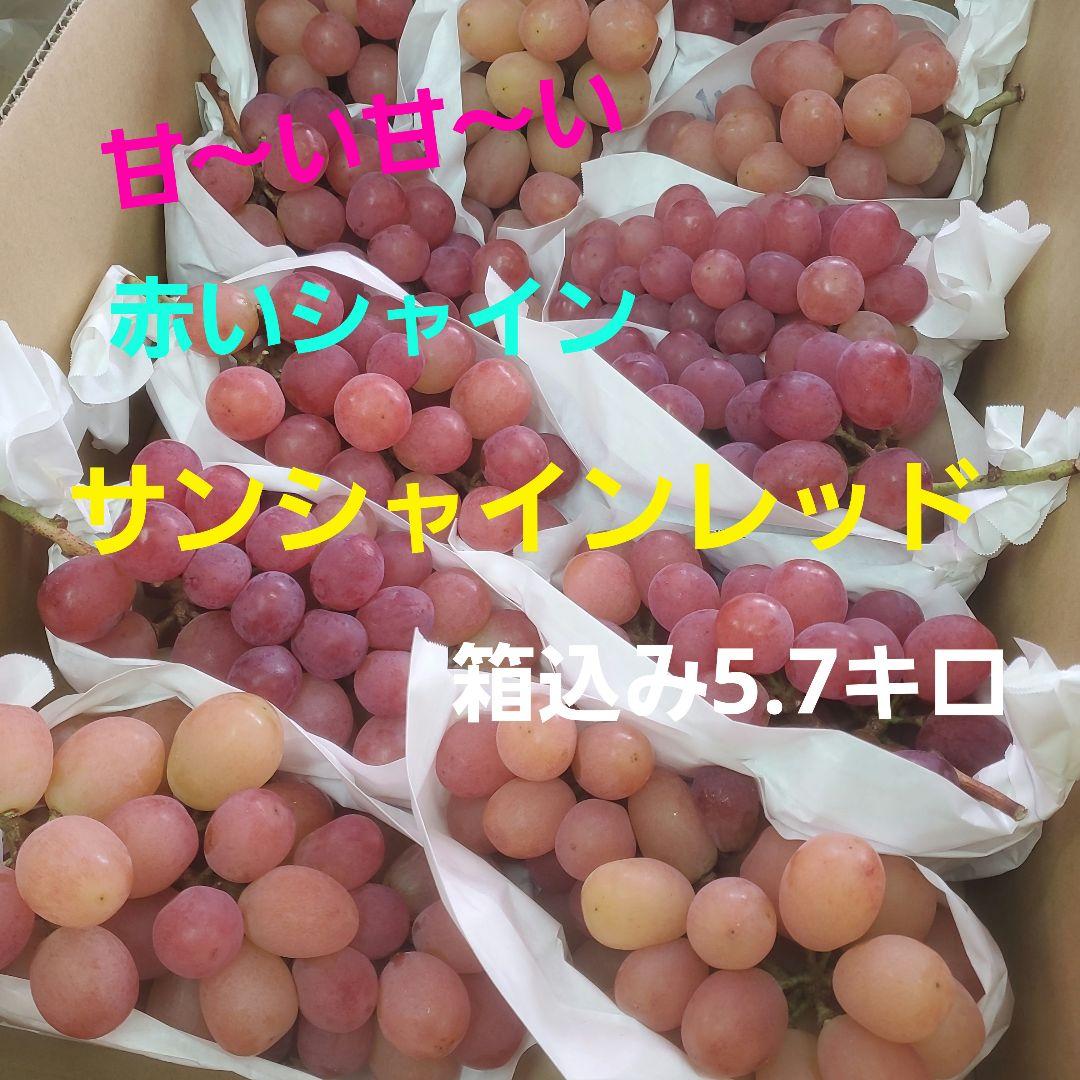 1⃣1⃣ 山梨県産 サンシャインレッド １２房入り 箱込み5.7キロ