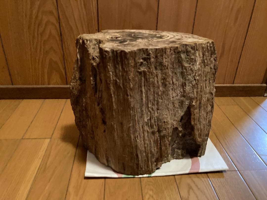 木化石　ブラジル産　30Kg弱くらい　珪化木 受け渡しも可能です