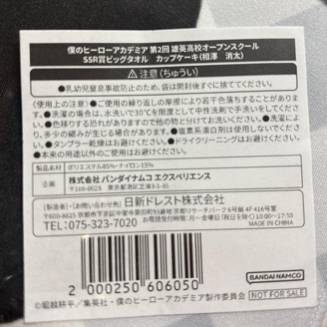 僕のヒーローアカデミア★雄英高校オープンスクール★ヒロアカ★相澤消太★SSR賞