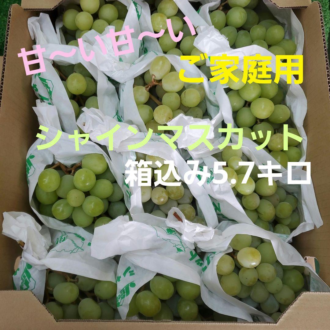 2️⃣山梨県産 シャインマスカット１２房入り 箱込み5.7キロ