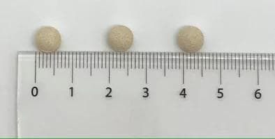 たもぎ茸 錠剤 160mg 360錠 たもぎだけ 無添加 黄金たもぎ茸3袋セット