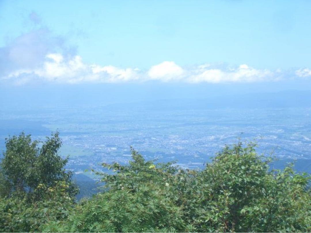 山形県米沢市最新な 大東亜戦争中前後の神社が図柄の銭 切手20枚ハガキ12枚