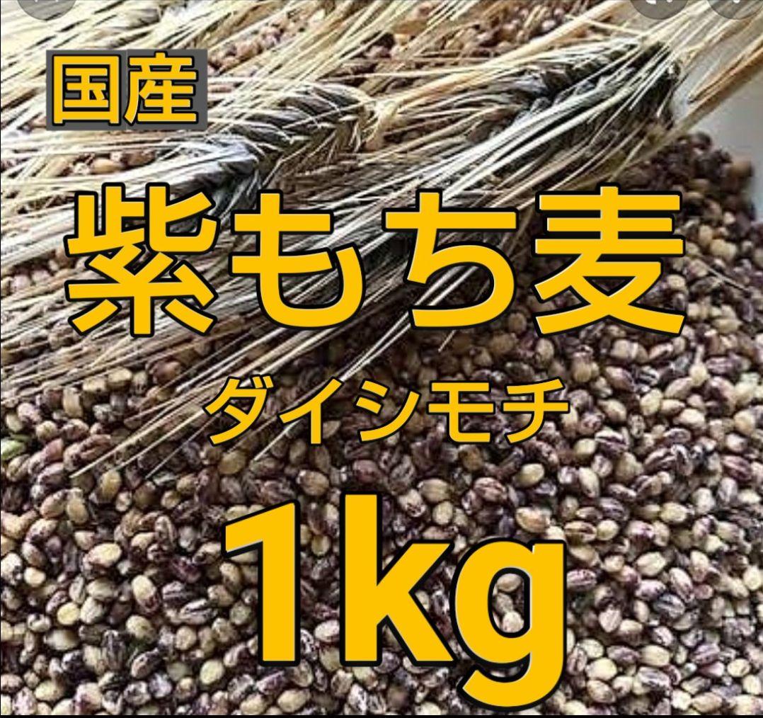 もち麦10kg 紫もち麦 ダイシモチ 美味しく食べやすく精麦済