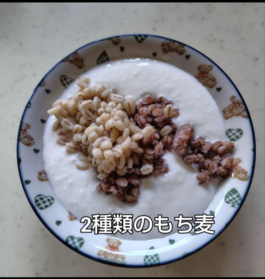 もち麦10kg 紫もち麦 ダイシモチ 美味しく食べやすく精麦済