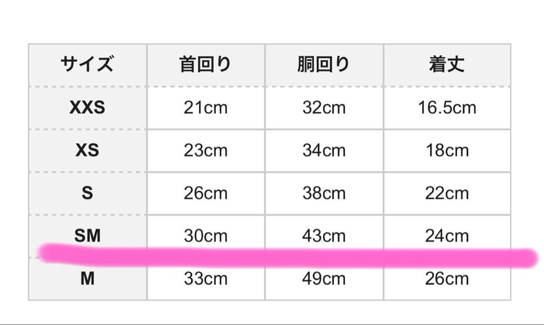 【新品未使用】ゴッドピバ godpivaテラヘルツレオパードハーネス ピンクSM