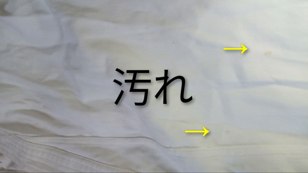 ※けるののす※【船木誠勝　直筆サイン入り！】