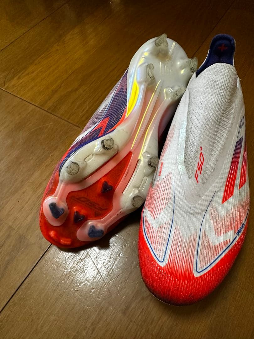 F50 fg 25.5 紐なし