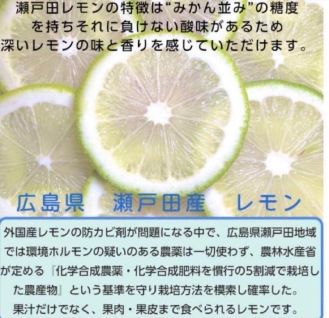 酵素栽培　小粒ちゃん　ネーブル 瀬戸田　広島県　皮も食べてオランジェット 国産