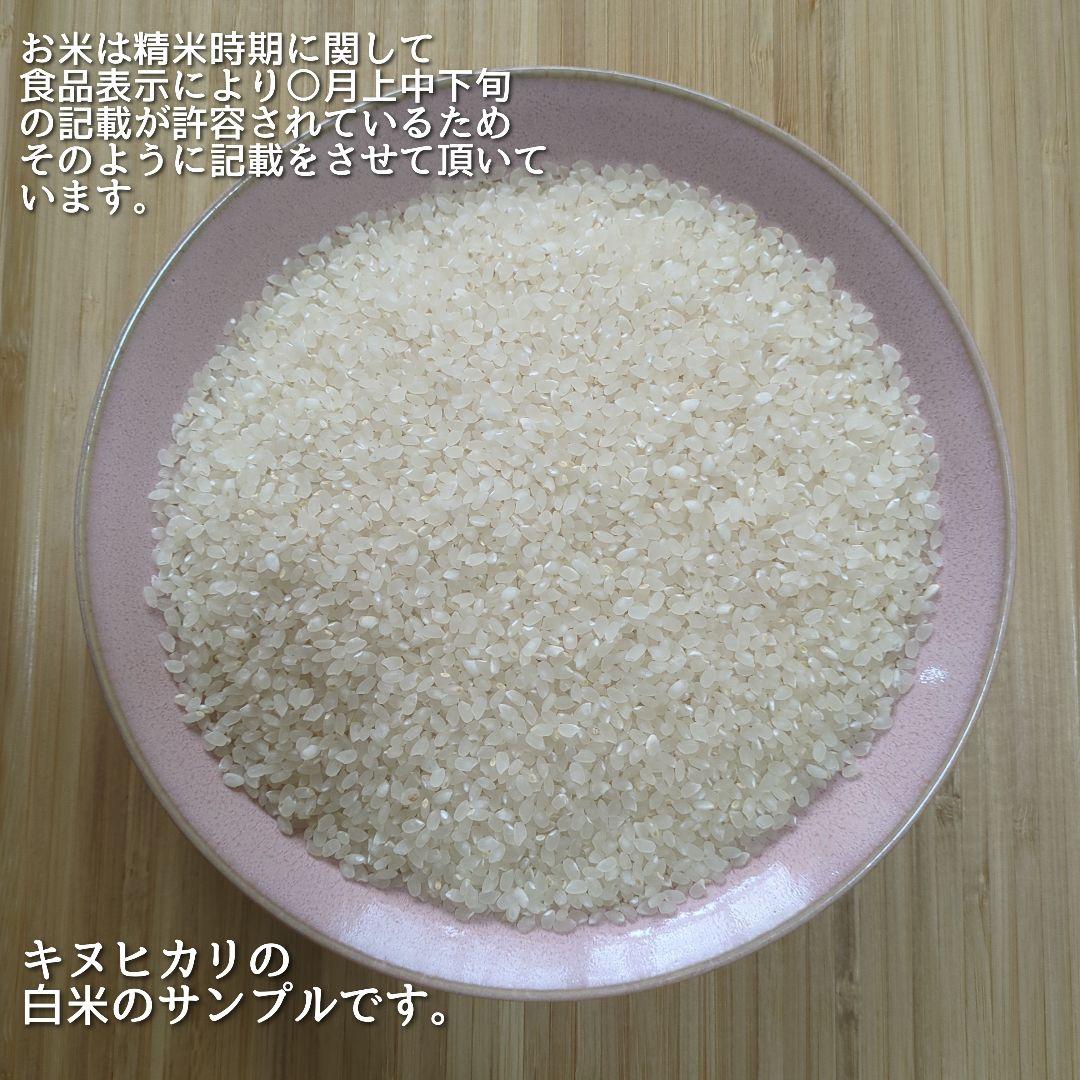 令和7年産三重県伊賀産キヌヒカリ20kg普通精米（5kg×4）