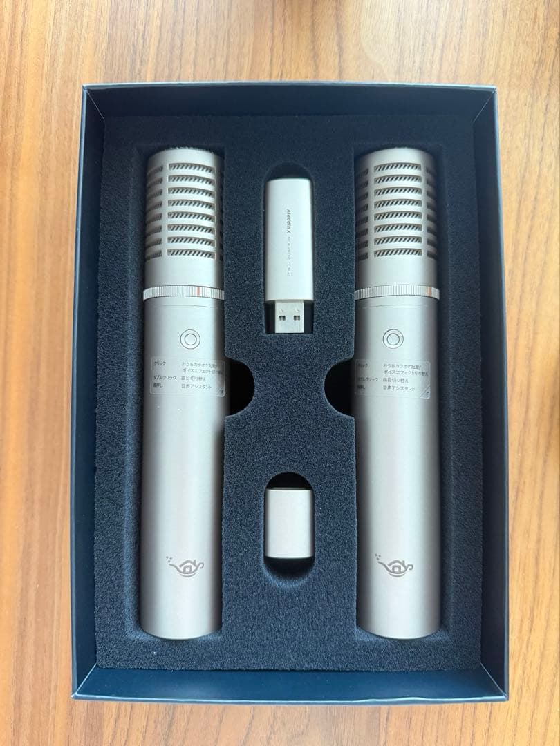 Aladdin Mic 2 カラオケマイク 2本セット