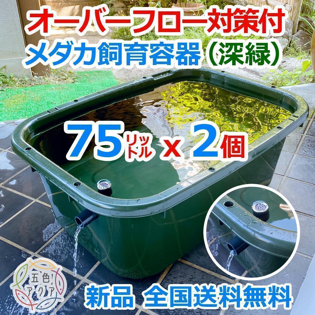 【新仕様】メダカ飼育ケース 75㍑深緑x2個 オーバーフロー対策済 金魚飼育容器