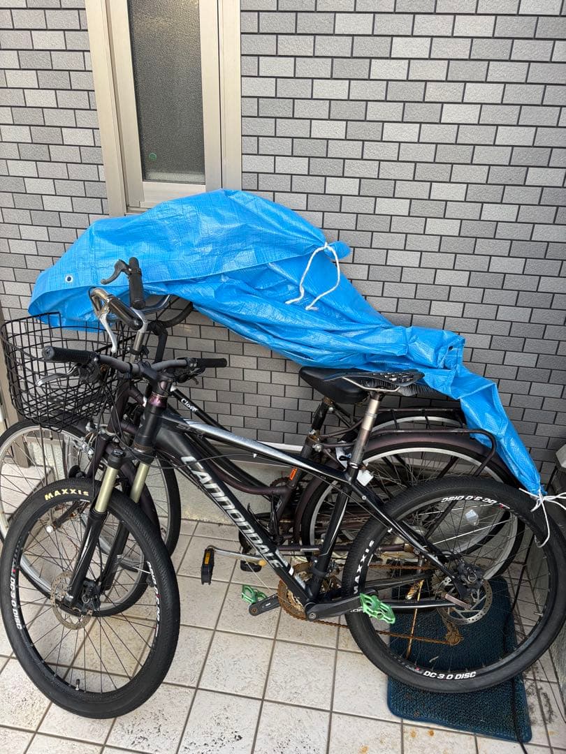 自転車本体 CANNONDALE trail