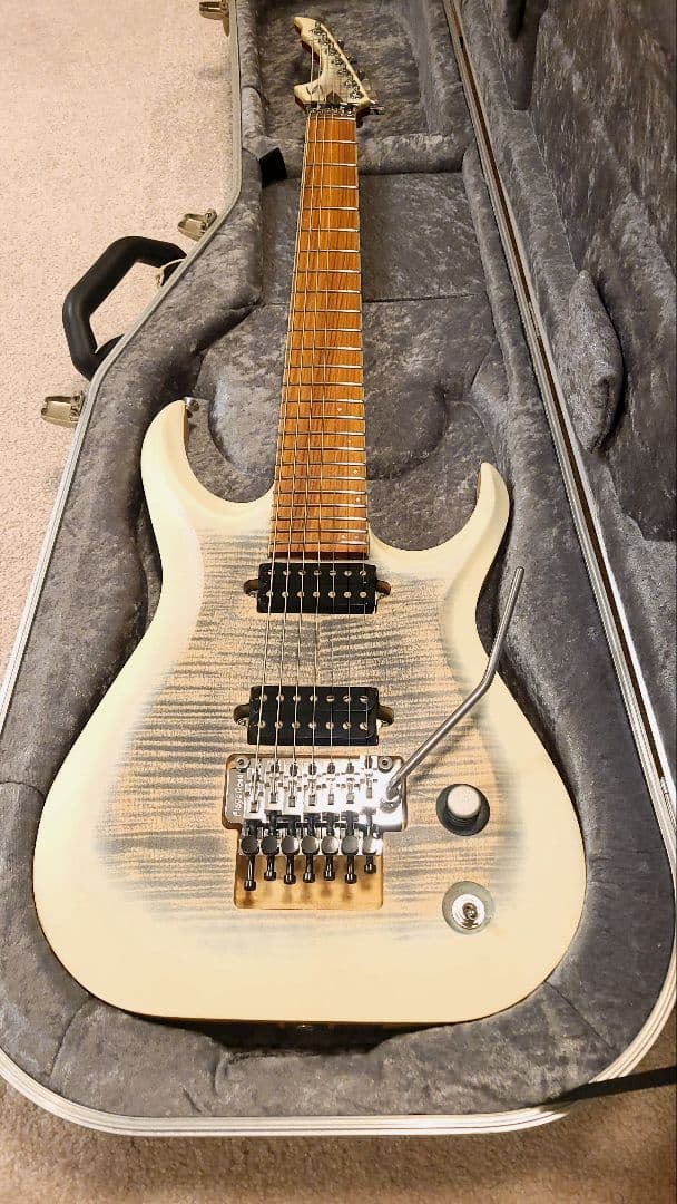 Skervesen Raptor 7 / 7弦ギター