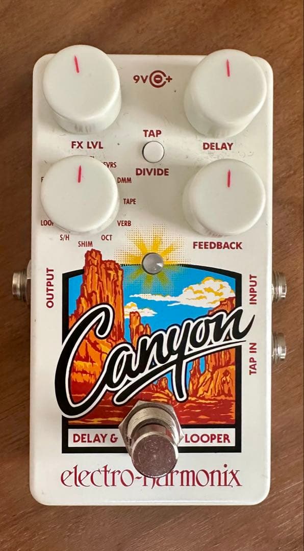 Electro-Harmonix Canyon ディレイ・ルーパー