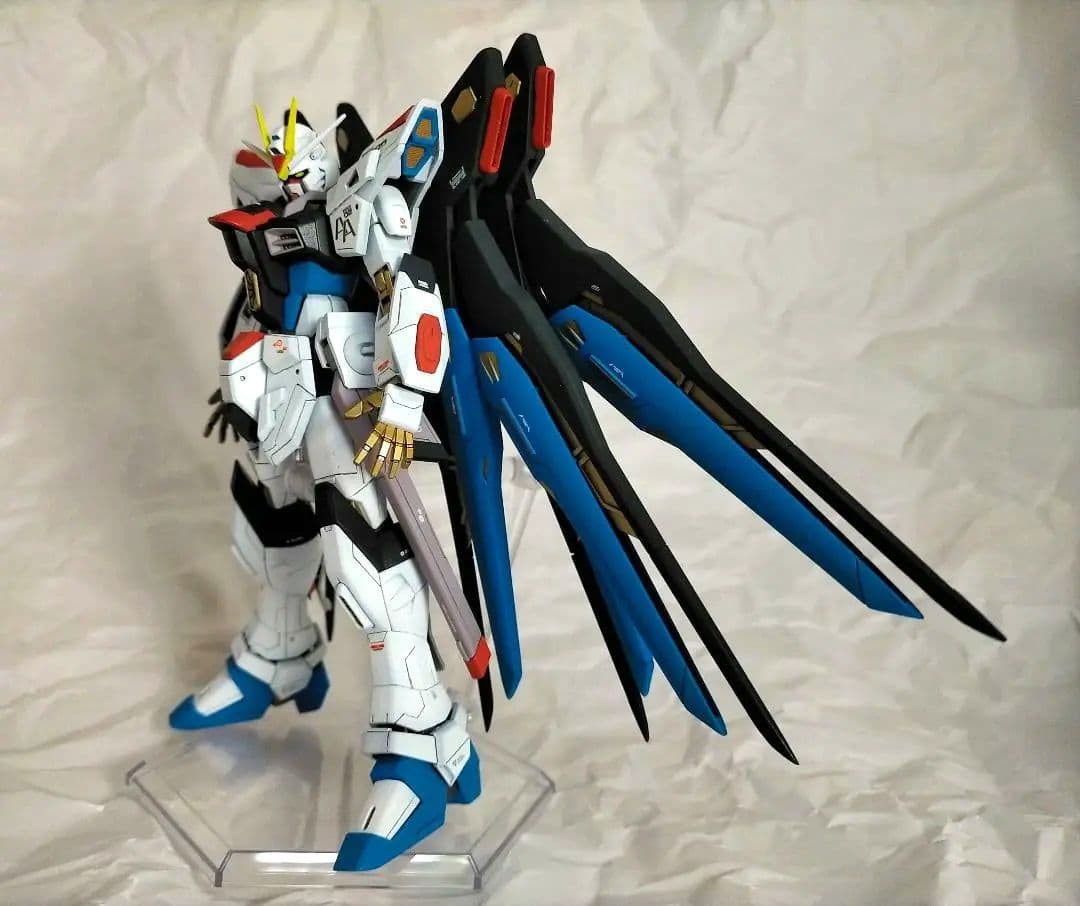 HGCE ストライクフリーダムガンダム 全塗装完成品(多数改修点あり)