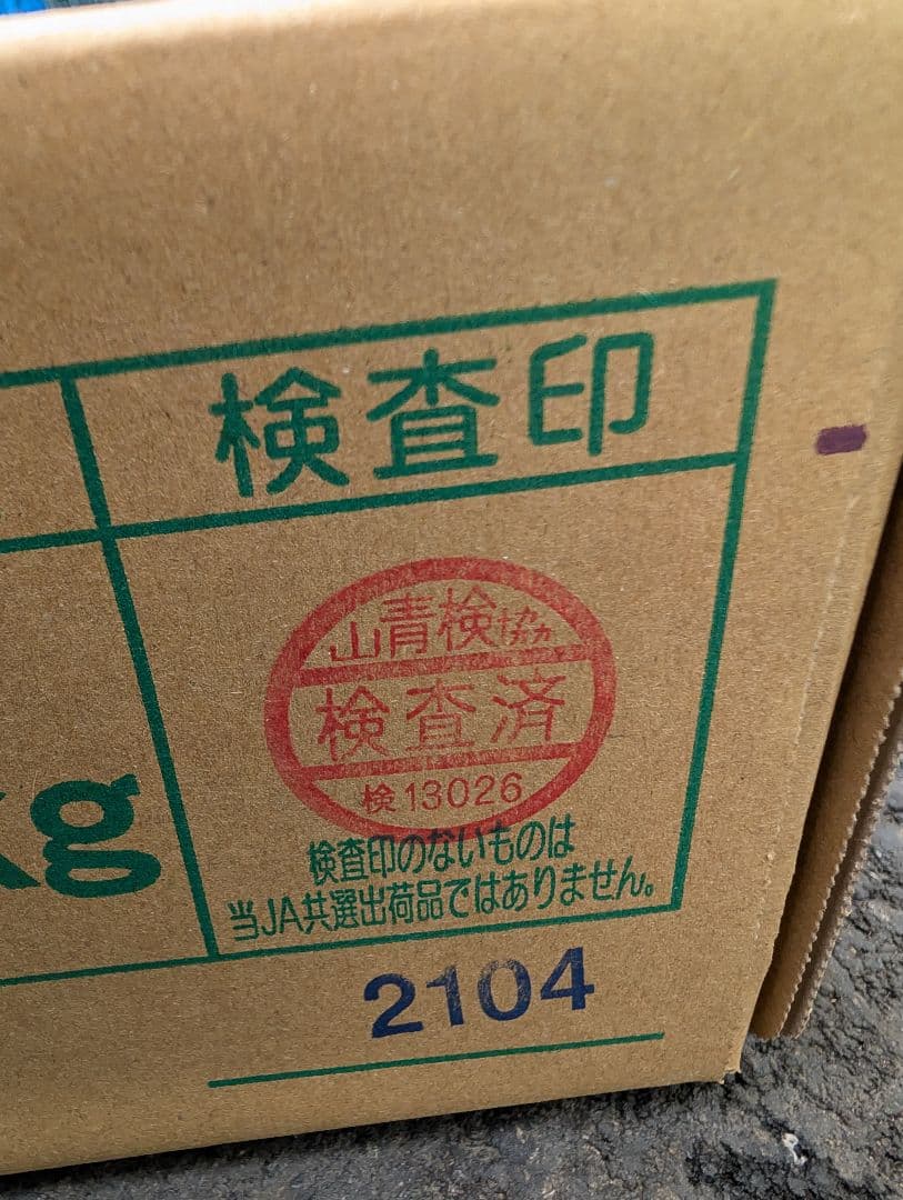 山梨県産ぶどう　サンシャインレッド　10房入り箱込み約5.6kg