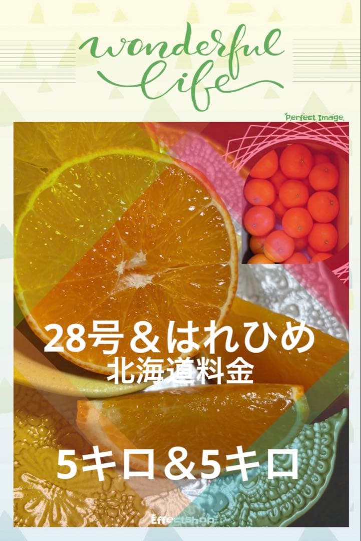13-5+5k あいか28号みかん5キロ＆はれひめ5キロセット 北海道料金