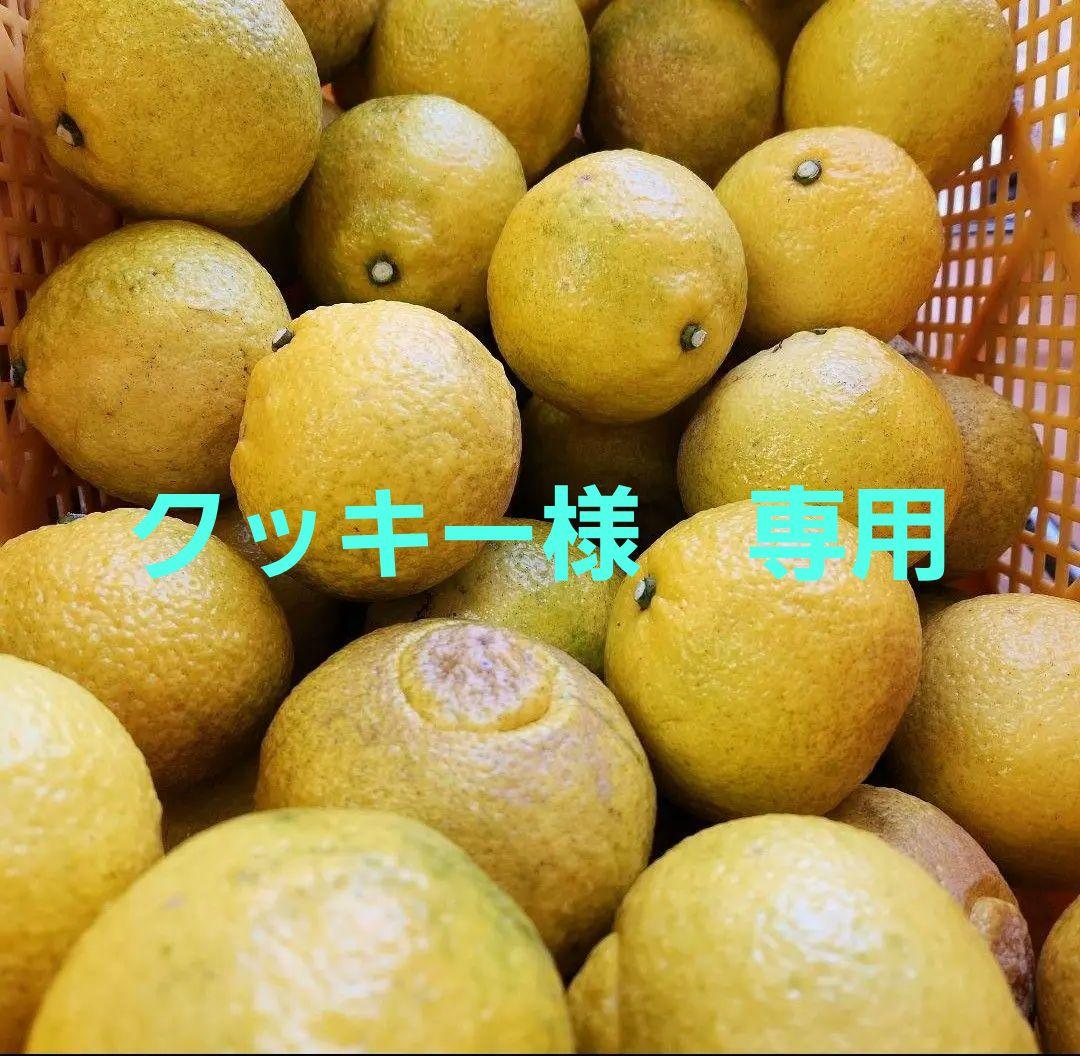 ⭕クッキー！宮崎県産　減農薬　福じいちゃんの　はるか　箱込み約20キロ