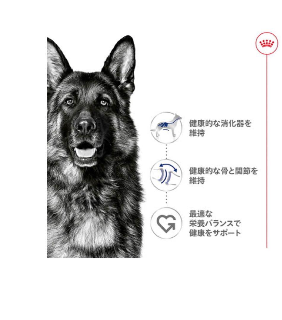  CANAN 大型犬用 ドライフード 16kg 新品未開封