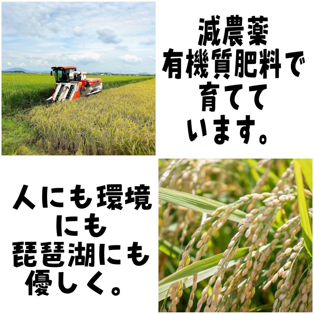【令和7年度新米】近江米 ミルキークイーン 10kg