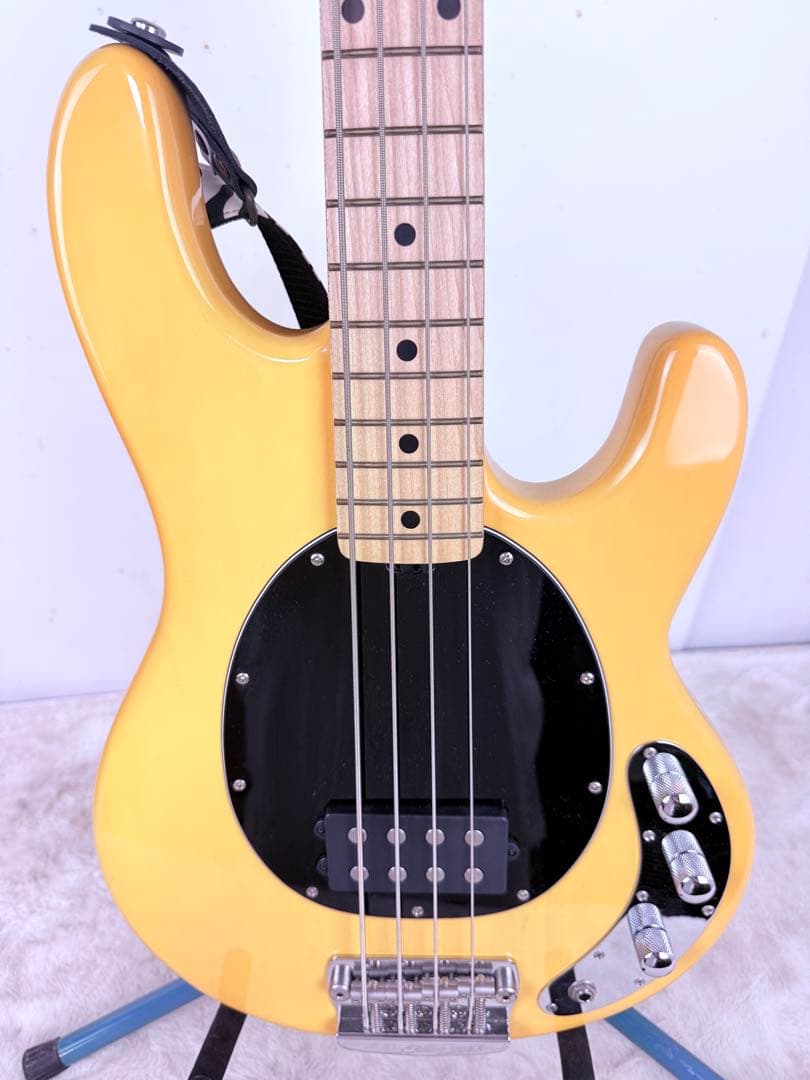 超美品！Sterling by Musicman Ray24CA バタースコッチ