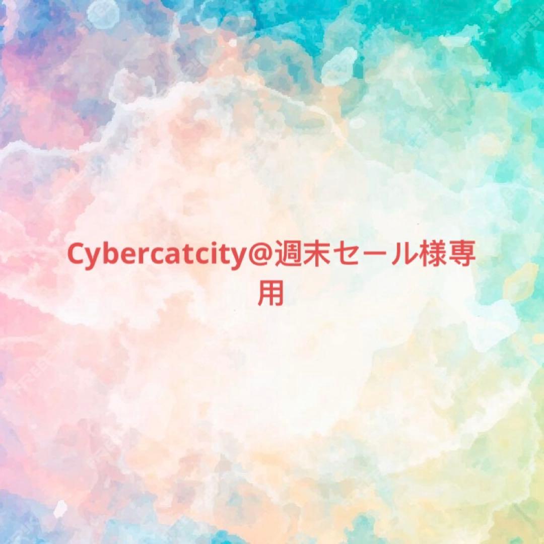 Cybercatcity@週末セール様確認専用ページ【取り置き中12月19日迄】