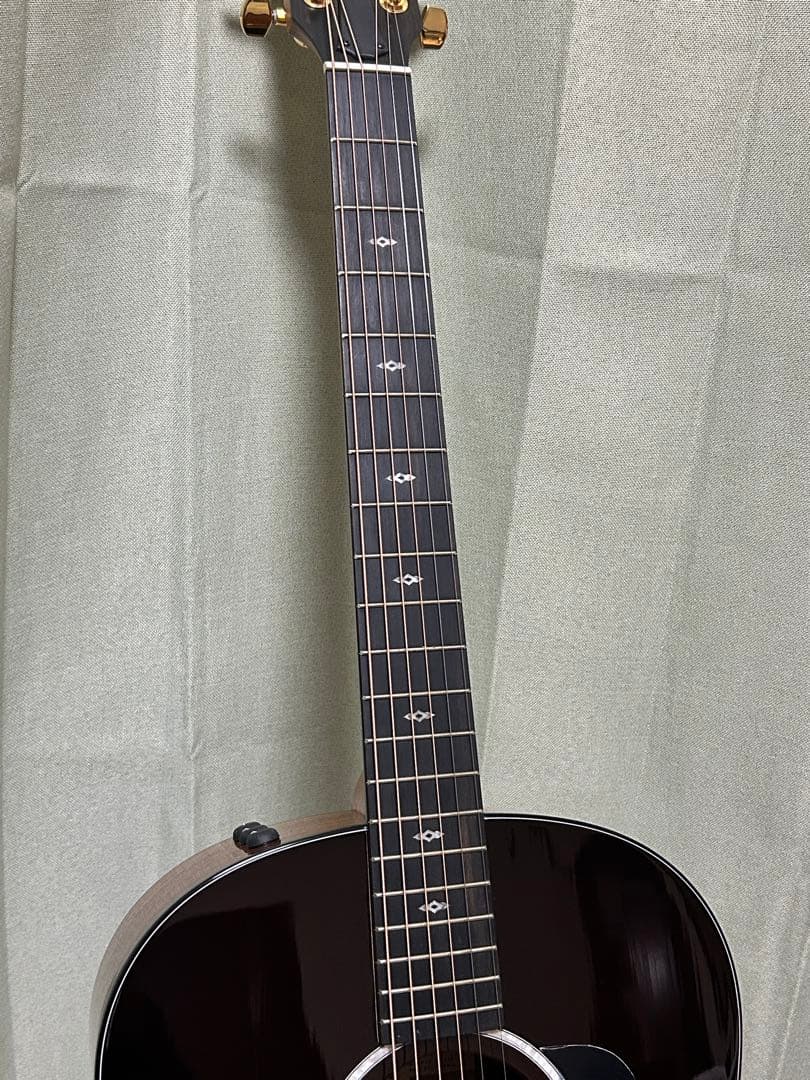 Taylorエレアコ217e plus Ltd 50thアニバーサリー