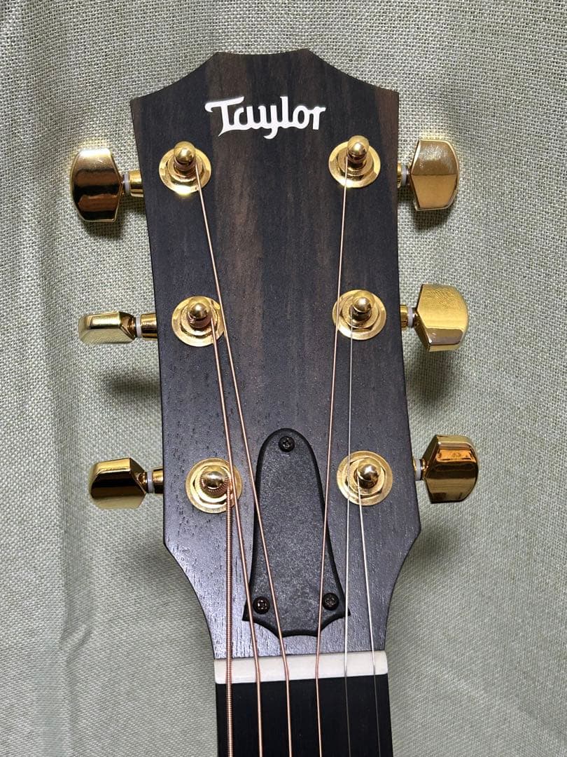 Taylorエレアコ217e plus Ltd 50thアニバーサリー