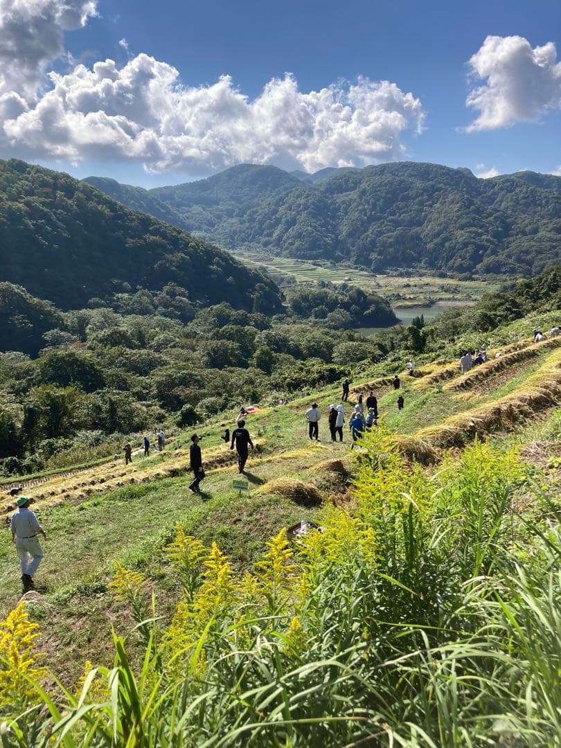 魚沼産コシヒカリ 玄米30kg