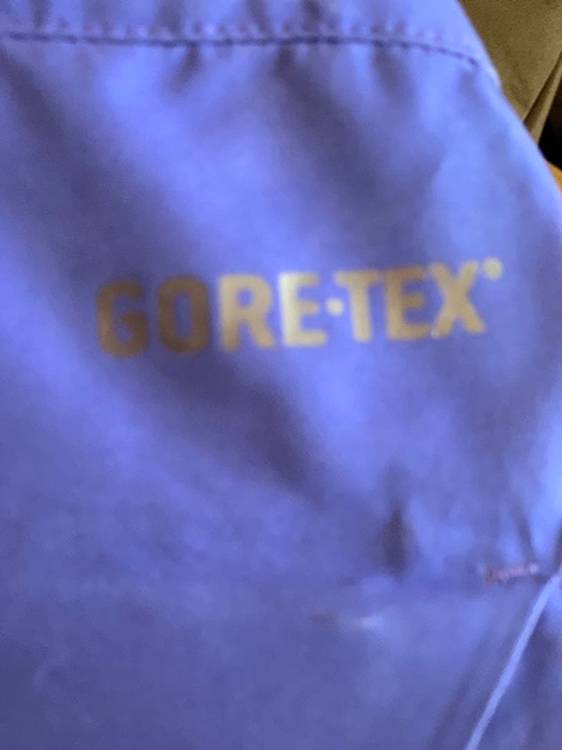 Patagonia GORE-TAX RECCOパウダーボウルパンツ
