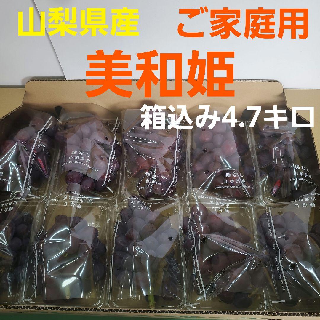 5️⃣ 山梨県産 美和姫 １０パック 箱込み4.7キロ