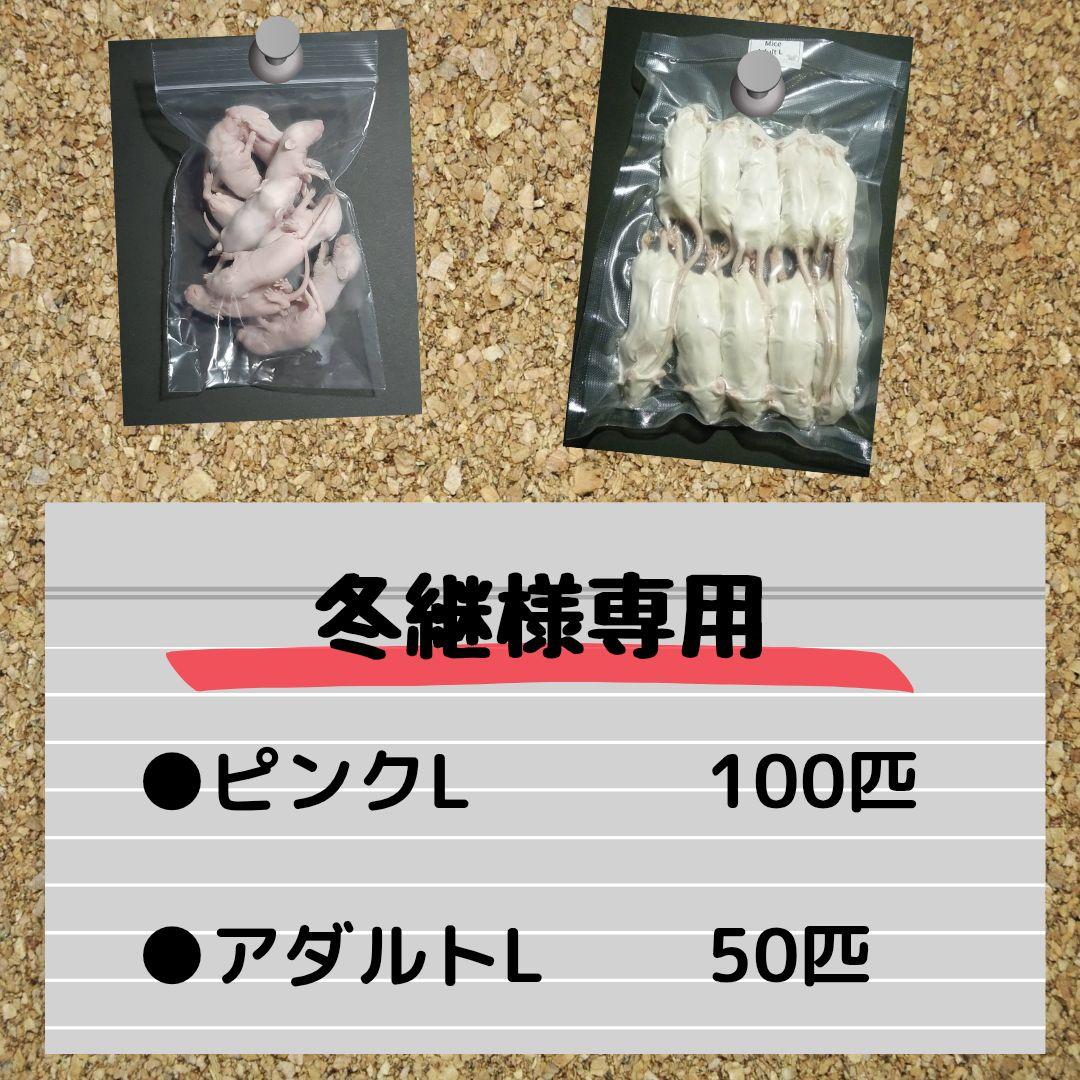 【冬継】国産 冷凍マウスピンクL100匹、アダルトL50匹